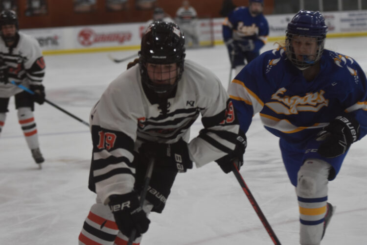 Marshall big first period paces them to victory over Windom 3-1 | News ...